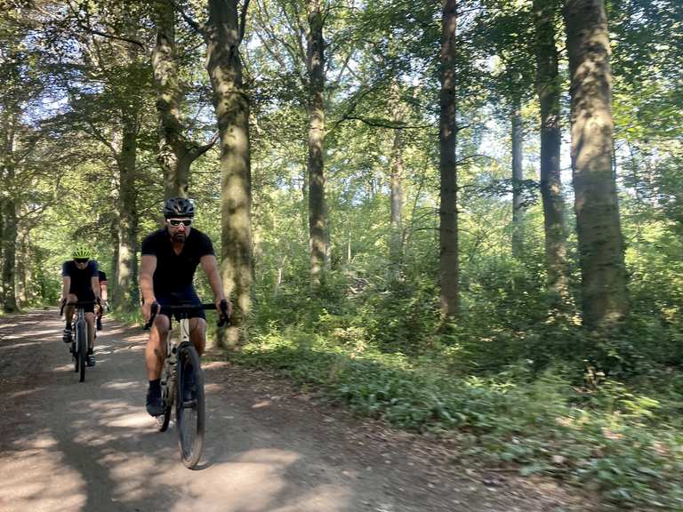 Gravelpad Zoerselbos: Radtouren und Radwege | komoot