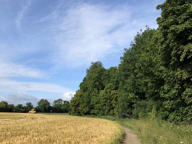 Oughtonhead Common & Pegsdon Hills loop from Hitchin - Chiltern Hills ...