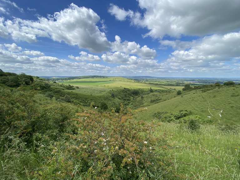Ashridge Estate & Ivinghoe Beacon Schleife von Tring - Chiltern Hills ...