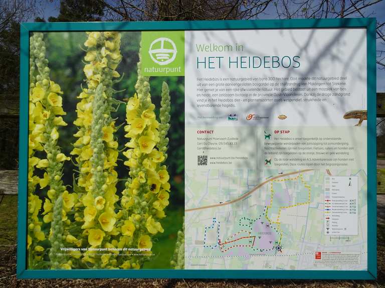 GR122 Heidebos – Parking 1 Heidebos Moerbeke Rondje vanuit Moerbeke ...