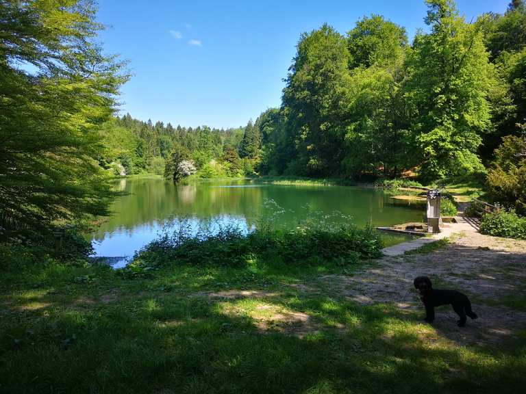 Miserden Estate loop via Miserden Park Lake — The Cotwolds | hike | Komoot