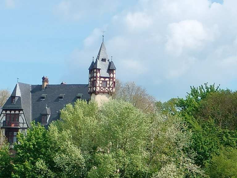 Neues Schloß Büdesheim : Radtouren und Radwege | komoot