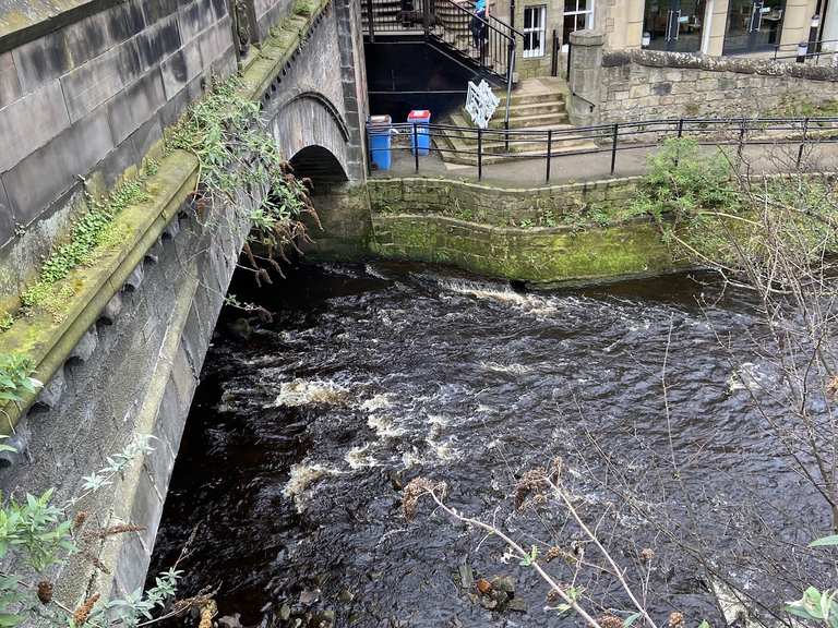 Water of Leith Walkway Routes for Walking and Hiking | Komoot