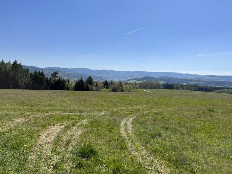 Col de Mandray – Voie Vert Anould - St.Leonard Itinerario ad anello da ...