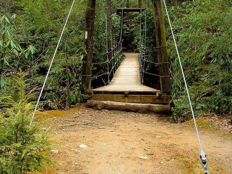South Mills River Trail - Routes for Walking and Hiking | Komoot