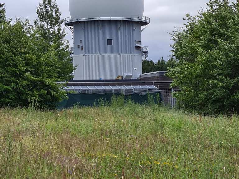 Erbeskopf (höchster Punkt von Rheinland-Pfalz): Wanderungen und ...