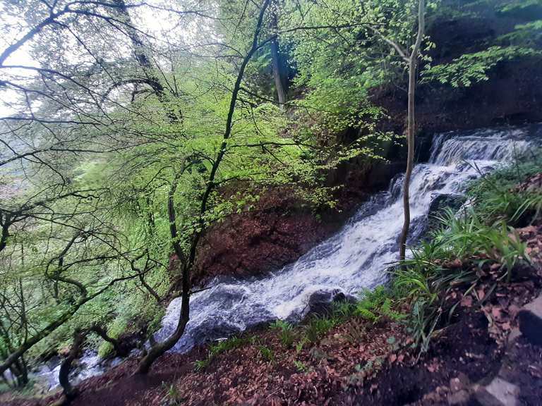 Cleddon Falls: Wanderungen und Rundwege | komoot