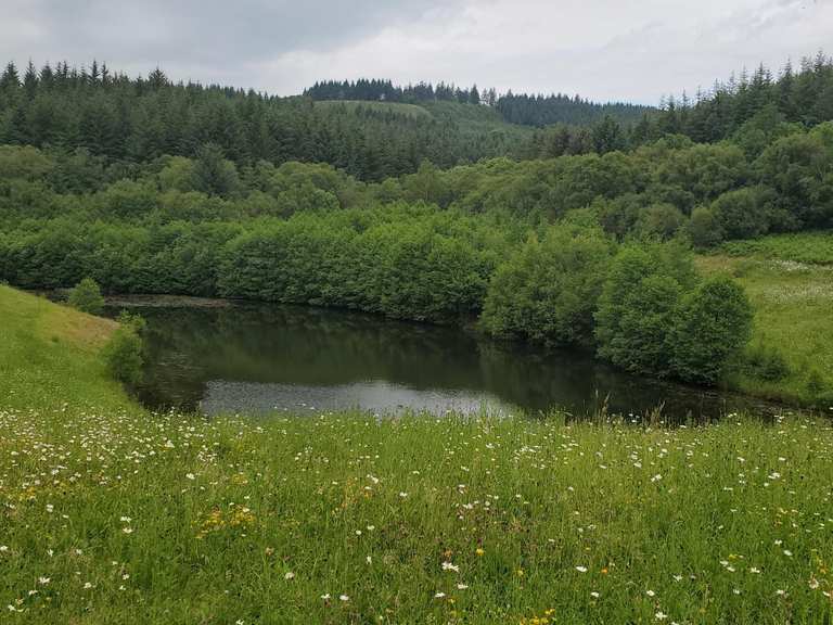 High Paradise Farm and Boltby Reservoir loop — North York Moors ...