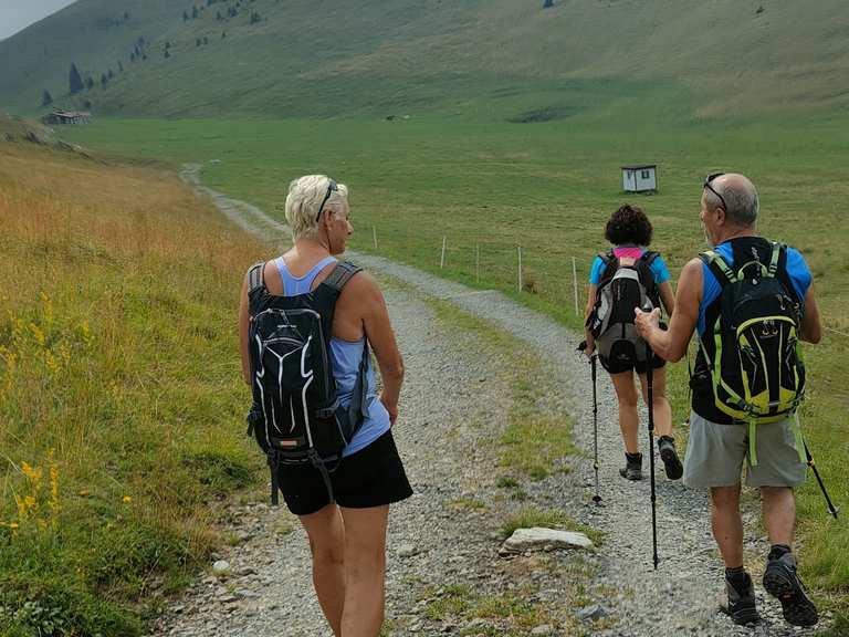 Sentiero nell'Alpe Montagnina : percorsi escursionistici e trekking | Komoot