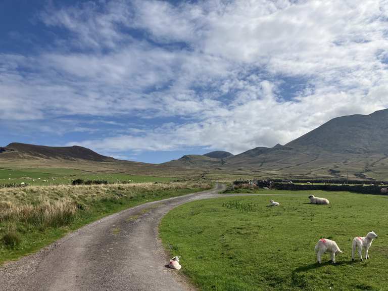 Mount Brandon & the Pilgrim Path (Cosan na Naomh) loop | escursione ...