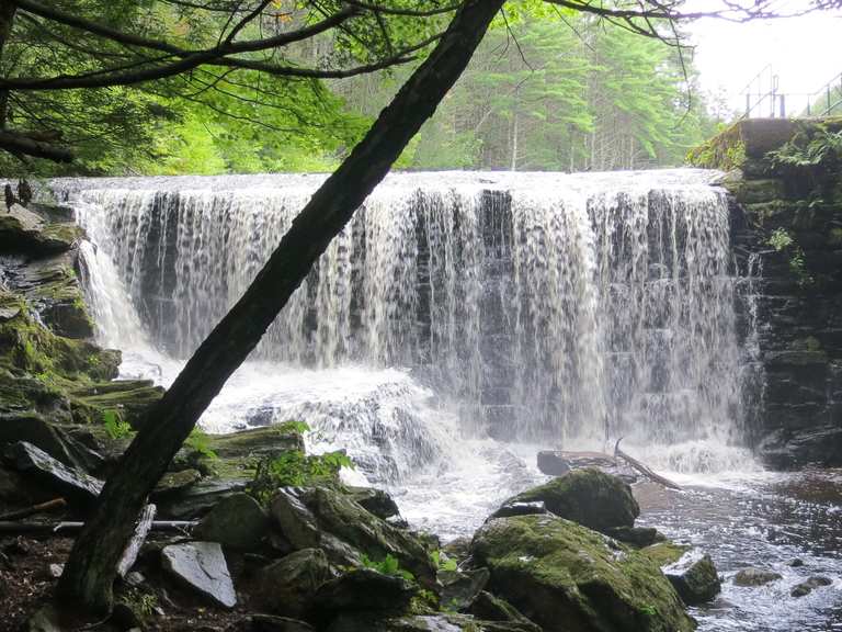 Harkness Brook, Buffam Falls, and Amethyst Brook Conservation Areas ...