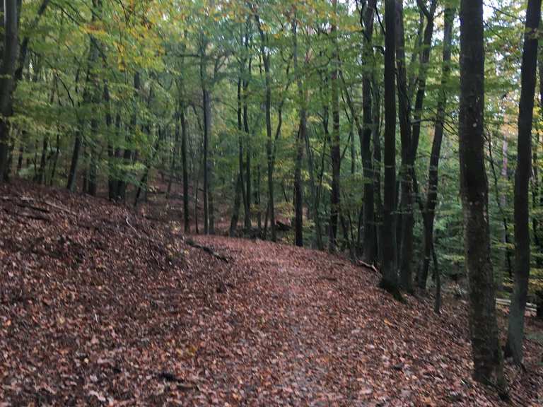 Parkbühne Wuhlheide: Mountainbike-Touren und -Trails | komoot