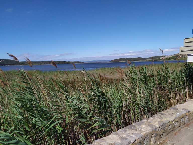 Étang de Gruissan – Panorama auf Gruissan boucle au départ de Pleine ...