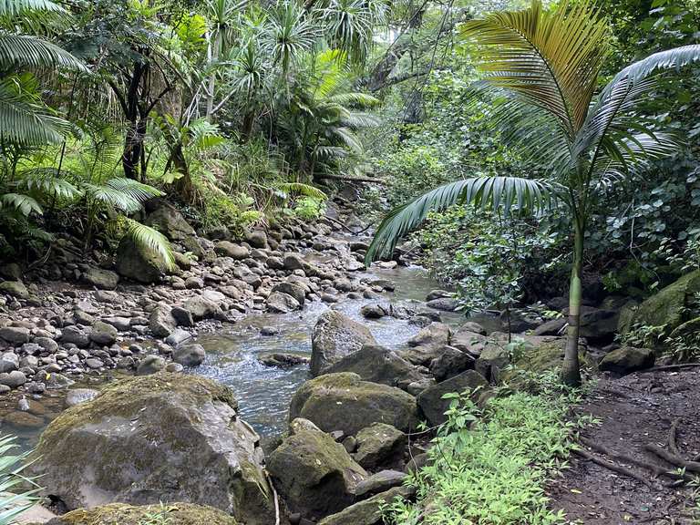 Lower Waimano Trail - Routes for Walking and Hiking | Komoot