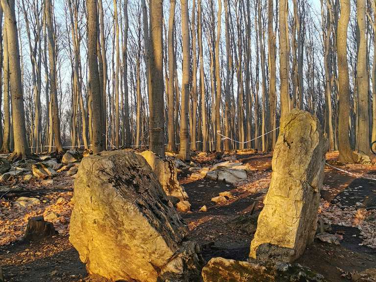 MEGALITY z Bukowej Góry - Cycle Routes and Map | Komoot