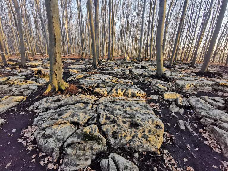 MEGALITY z Bukowej Góry - Cycle Routes and Map | Komoot