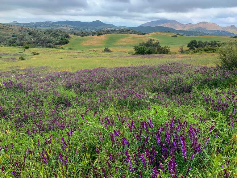 Wendy Trail a través de Windmill Trail loop - Boney Mountain State ...