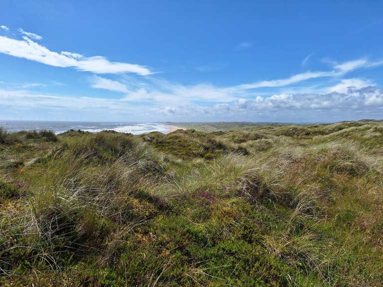 Newburgh seal beach loop – Forvie National Nature Reserve | hike | Komoot