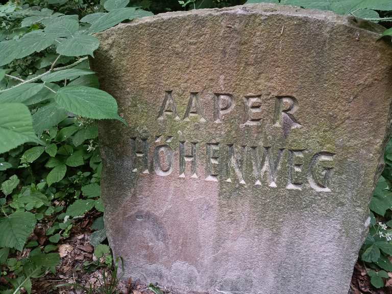 Schöner Waldweg. – Aaper Höhenweg Runde von Grafenberg | Wanderung | Komoot