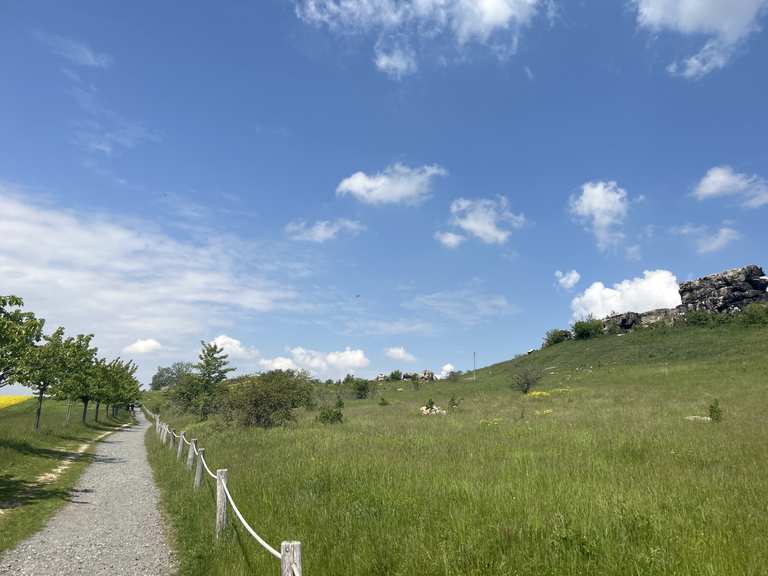 Kirschallee: Wanderungen und Rundwege | komoot