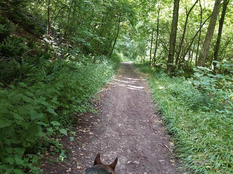 Woods and Château de Tancarville — loop in the Parc Naturel Régional ...