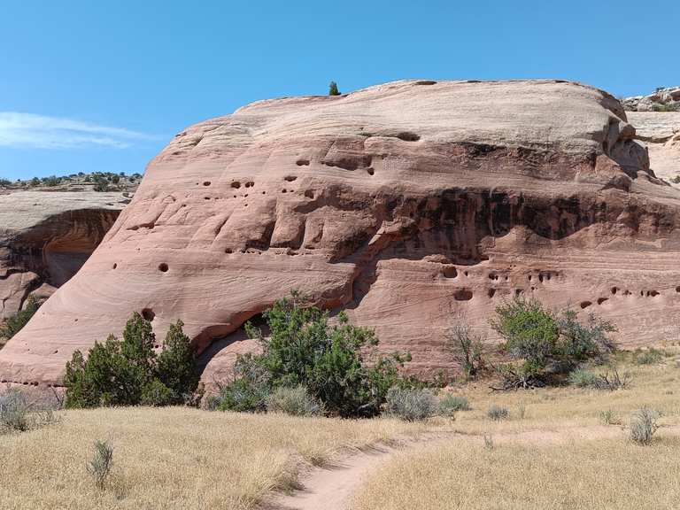 Rustler's Loop — Uncompahgre Plateau | hike | Komoot