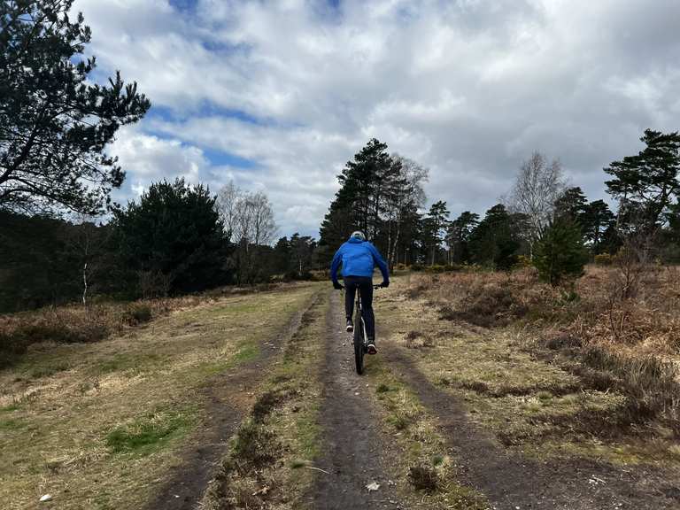 Bramshott Common: Mountainbike-Touren und -Trails | komoot