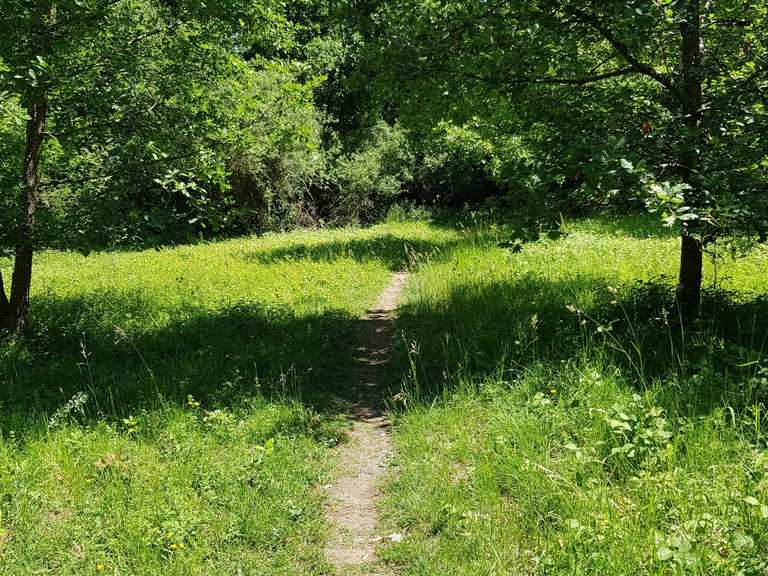 Castelo d'Anet - volta a partir de Anet na reserva natural do Vale das ...