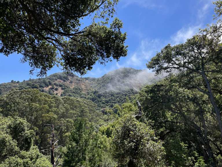 Boucle Mount Caroline Livermore - Angel Island State Park | course | Komoot