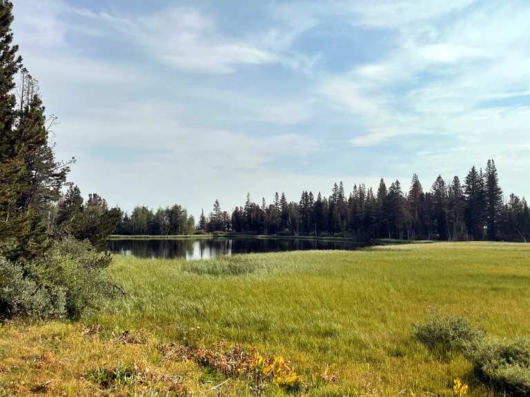 Tamarack Lake: Wanderungen und Rundwege | komoot