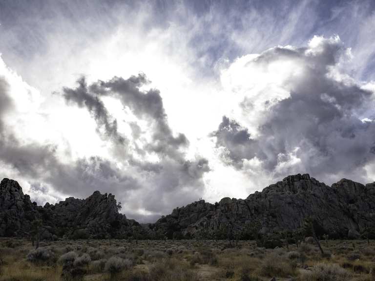 Boucle de Quail Springs Historic Trail à Hemingway West - Joshua Tree ...