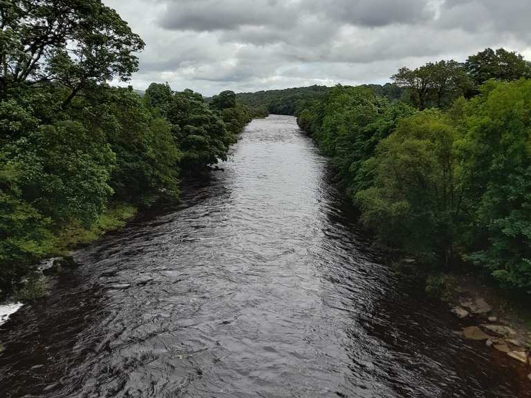 Lambley Viaduct – Lambley Viaduct loop from Lambley | hike | Komoot