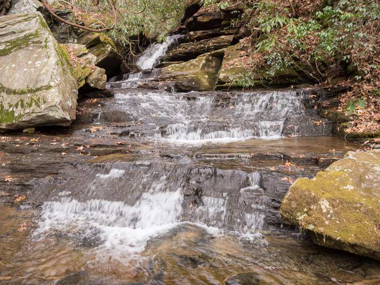 Silver Steps and Coldsprings Branch Trails loop — Jones Gap State Park ...