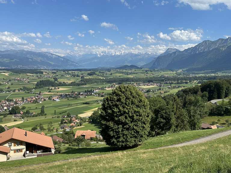 Vista del Eiger, Mönch y Jungfrau: Rutas MTB | Komoot