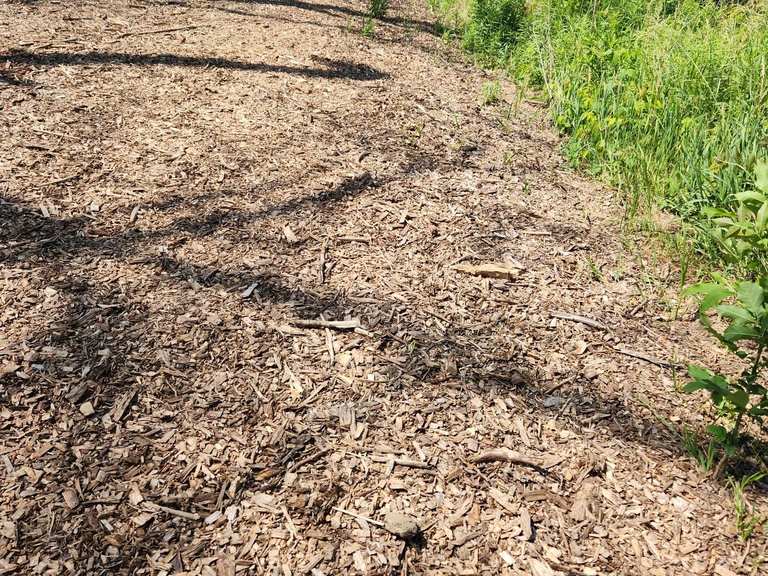 Iowa River Corridor Trail: Radtouren und Radwege | komoot