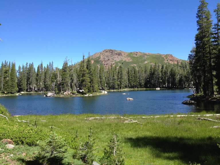Bucle de Grouse Ridge Trail a Crooked Lakes Trail — Tahoe National ...