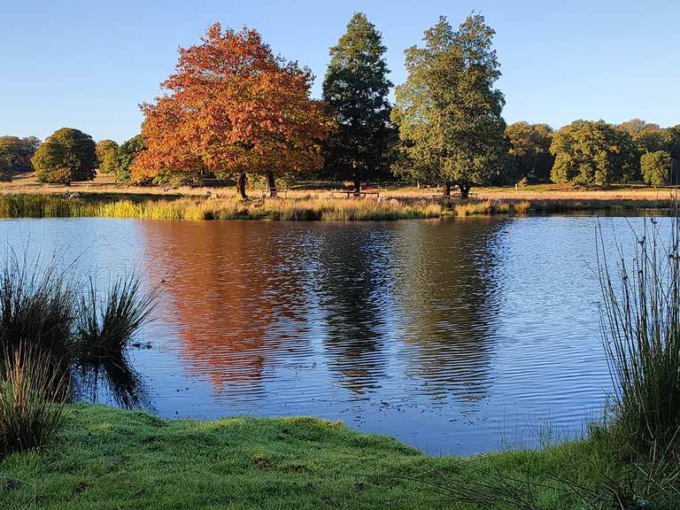 Tatton Mere – Melchett Mere loop from Over Tabley | hike | Komoot
