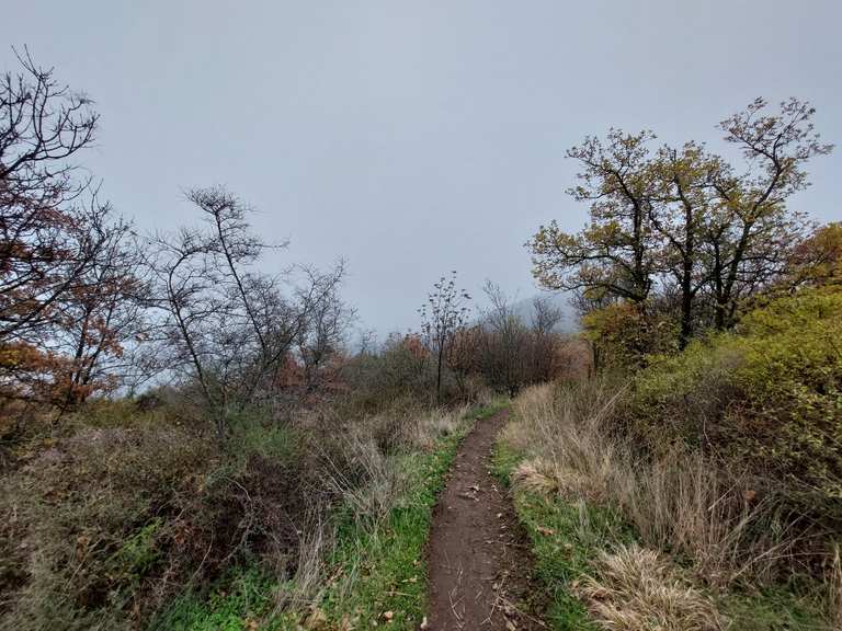 Sentiero Cava Monte Croce e Sentiero delle Creste — giro ad anello nel ...