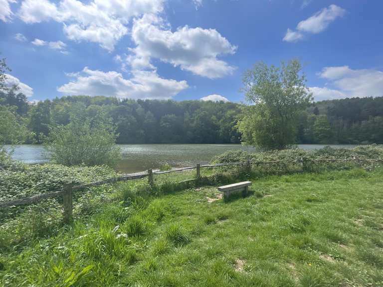 Ardingly Reservoir en Ouse Valley Viaduct lus vanaf Balcombe — High ...