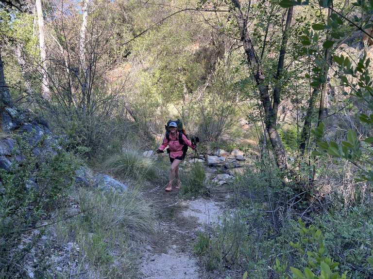 PCT from Warner Springs to Agua Caliente Creek: Wanderungen und ...