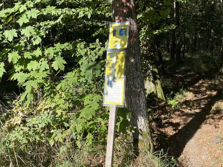 Weg Nr. 5 (Naturpark Altmühltal) – Radrouten & Anfahrt | Komoot