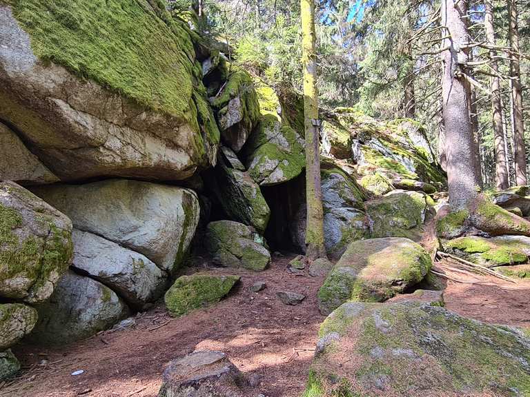 Pröller Berg- und Talrunde – Naturpark Bayerischer Wald | Wanderung ...