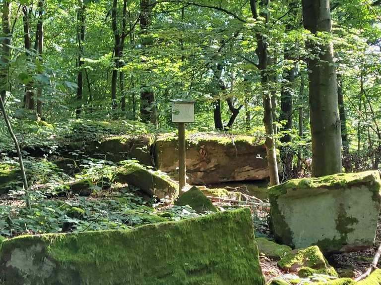 Alberich the dwarf Routes for Walking and Hiking | Komoot