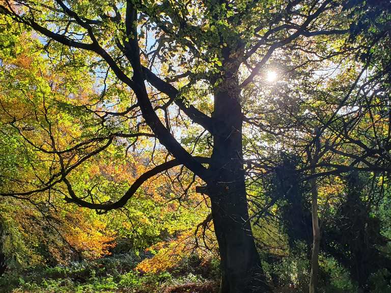 Bath Skyline Parkrun: Touren und Karten | komoot