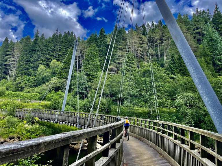 Kielder Forest & Keilder Viaduct loop from Lewisburn — Northumberland ...