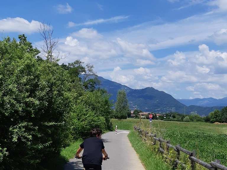 Ciclabile nel bosco: Radtouren und Radwege | komoot