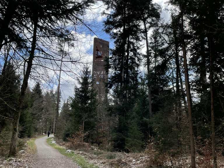 Hardwaldturm: Wanderungen und Rundwege | komoot