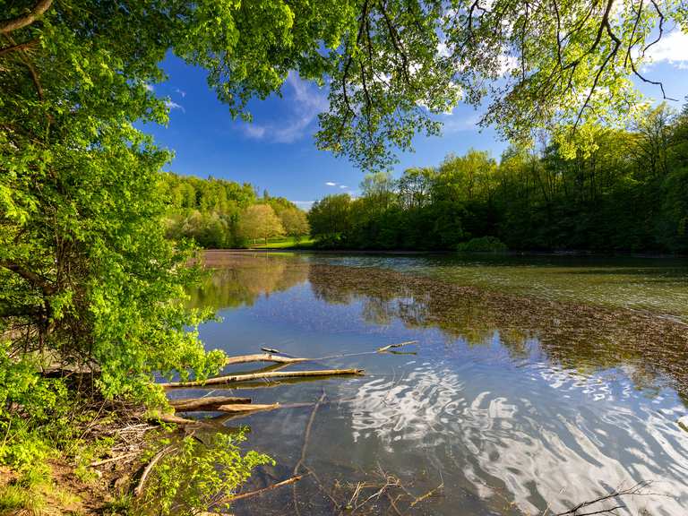 Thalersee: Wanderungen und Rundwege | komoot