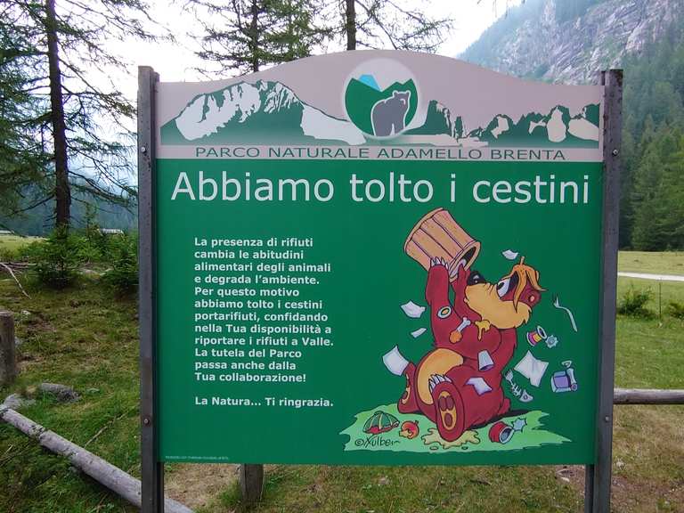 Cascadas y vistas al glaciar en Val di Genova: Rutas de senderismo y ...