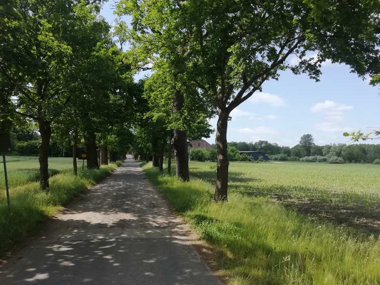 Gut Oppendorf: Wanderungen und Rundwege | komoot